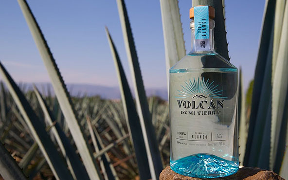 Moët Hennessy presenta su nuevo Tequila » Líderes Mexicanos